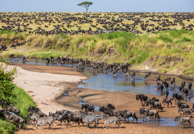 12 Fun Facts About Kenya From A True Local (2023)