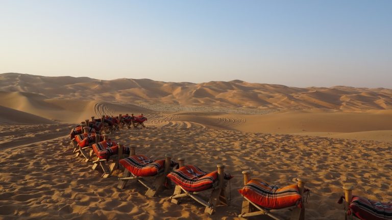 13 Fun Facts About Saudi Arabia For The Ultimate Pilgrimage (2023)