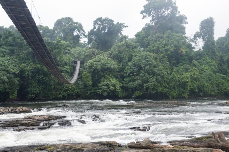 16 Fun Facts About Cameroon To Make You Want To Visit (2023)