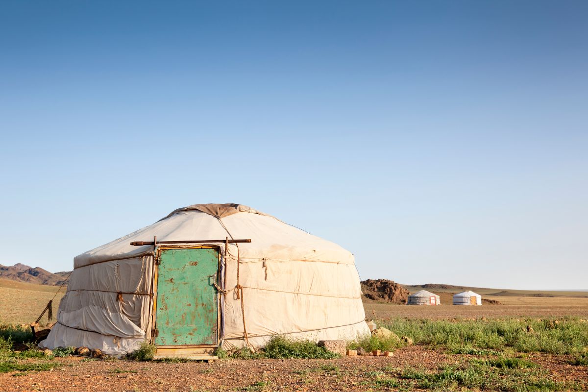 23 Fun Facts About Mongolia's Culture And Geography (2023)
