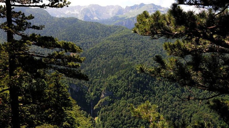 12 Fun Facts And Tasty Treats About Bosnia And Herzegovina