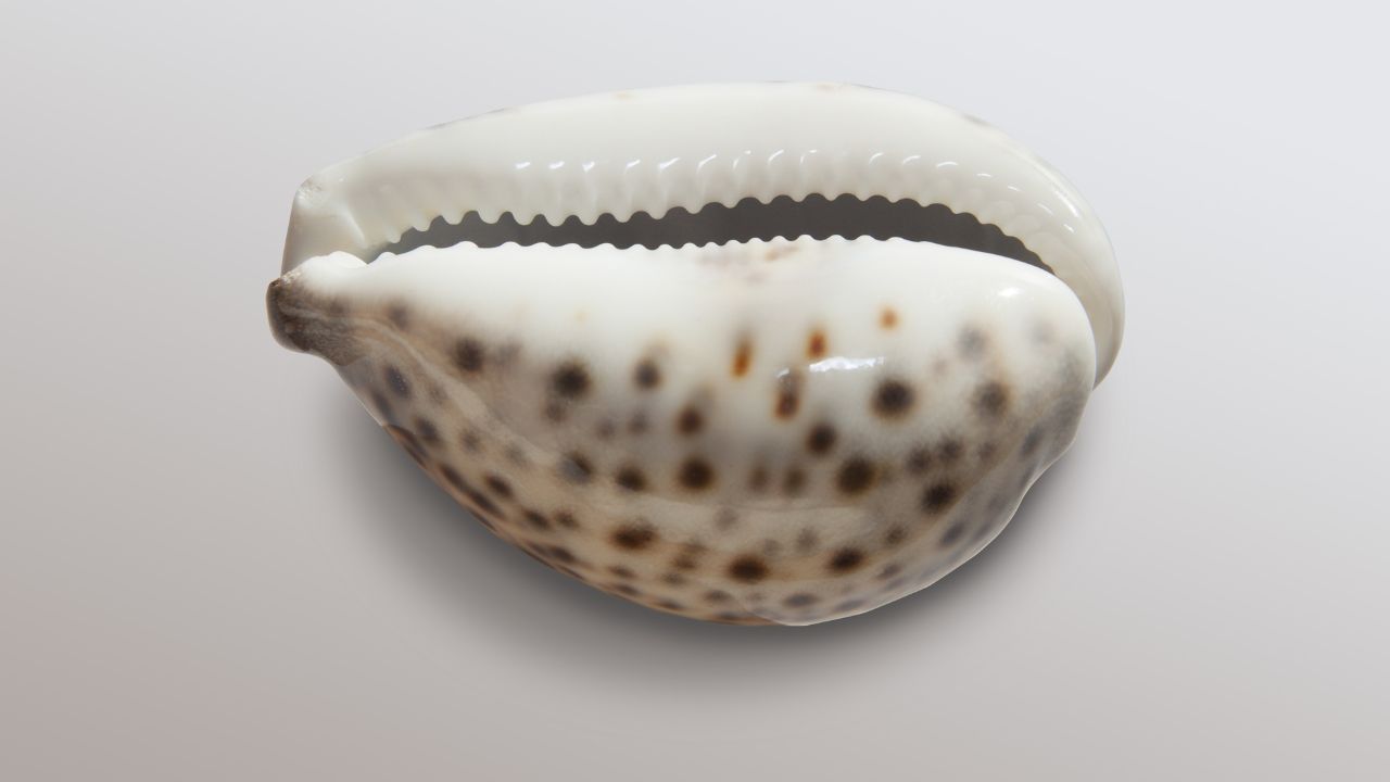 13 Unique Facts Behind The Maldives | Mycountryfacts