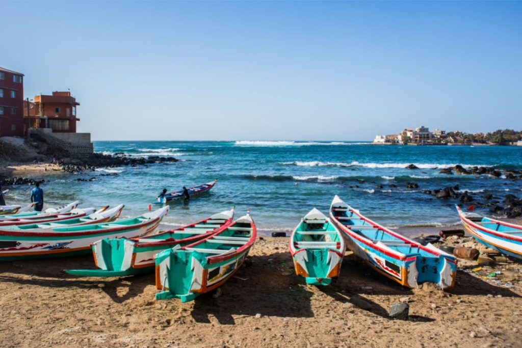 14 Fun Facts About Senegal's Nature And History | Mycountryfacts