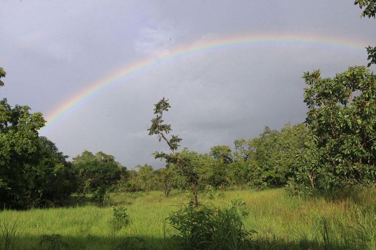 13 Fun Facts About Côte D'Ivoire You Never Heard Before