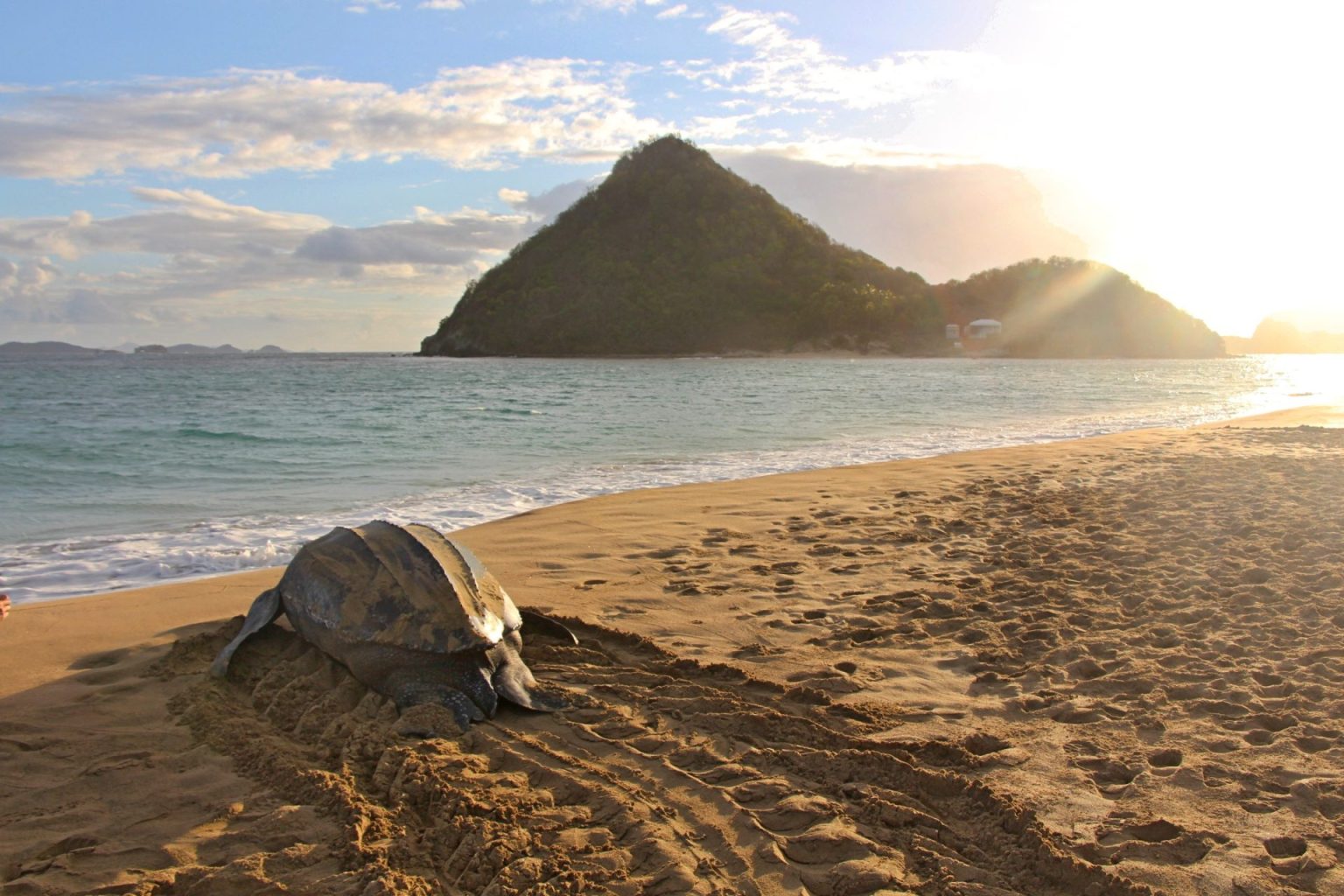 Grenada's Hidden Gems: 13 Fun Facts To Explore